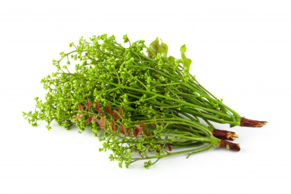 10 Benefits of Neem Leaves : Online Health Media