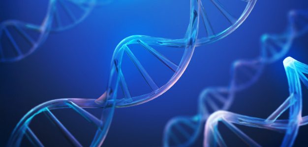 Haploinsufficiency - Explained, Treatment, Major Causes | OHM