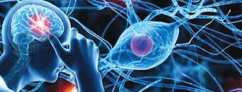 What Are Brain Disorders? Symptoms, Treatment, And Prevention