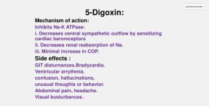 Is Trigoxin A Real Drug? What Are Its Uses And Side Effects?