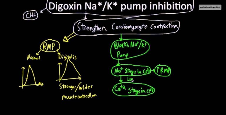 Is Trigoxin A Real Drug? What Are Its Uses And Side Effects?