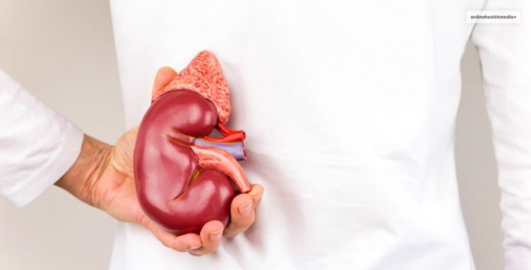 What Are The Organs On Left Side Of The Body?