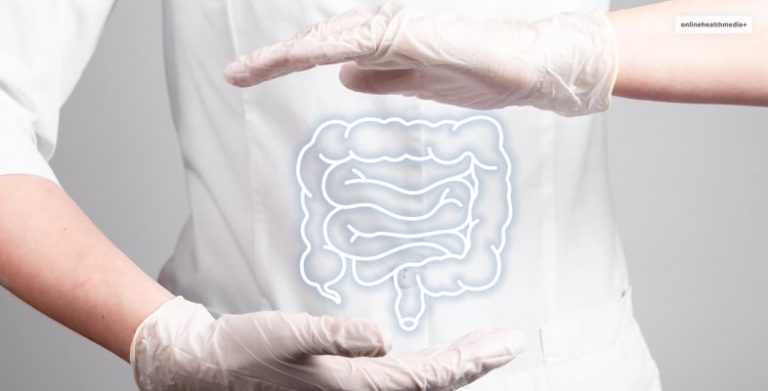 What Are The Organs On Left Side Of The Body?