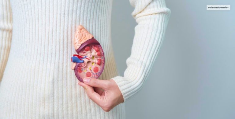 What Are The Organs On Left Side Of The Body?