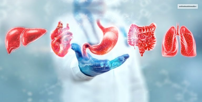 What Are The Organs On Left Side Of The Body?