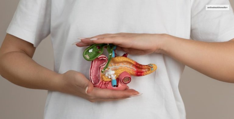 What Are The Organs On Left Side Of The Body?