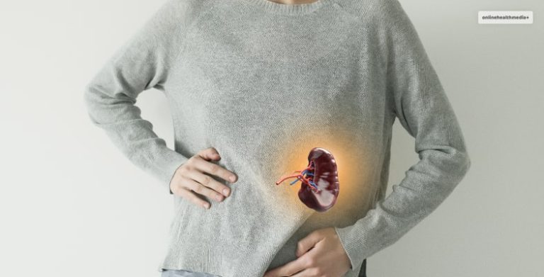 What Are The Organs On Left Side Of The Body?