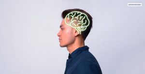 What Are The Organs On Left Side Of The Body?