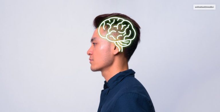 What Are The Organs On Left Side Of The Body?